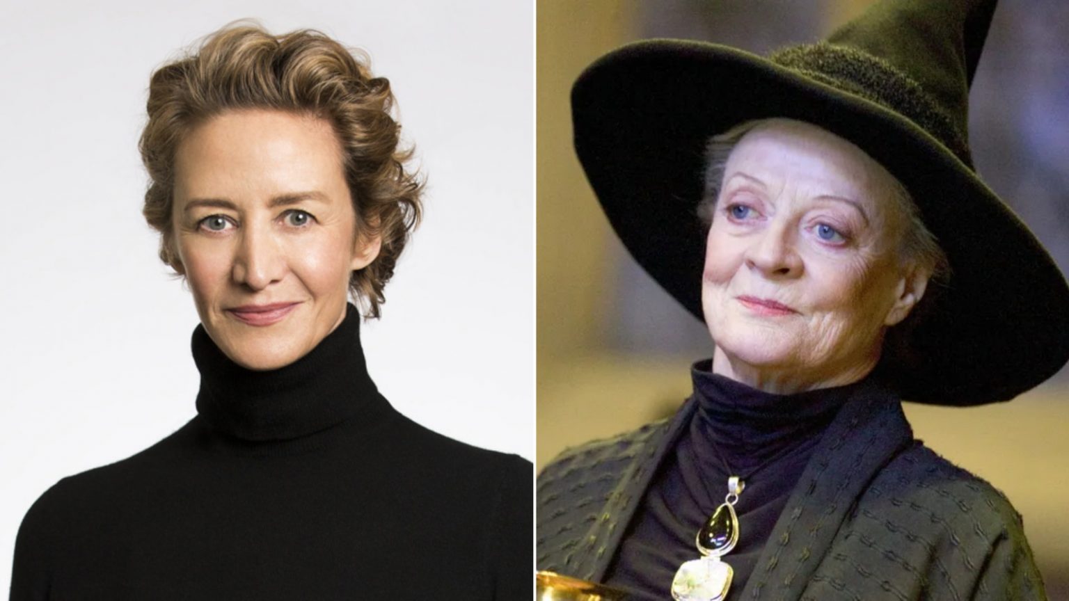 Todos los Actores de la Serie de Harry Potter en MAX (Actualizado)